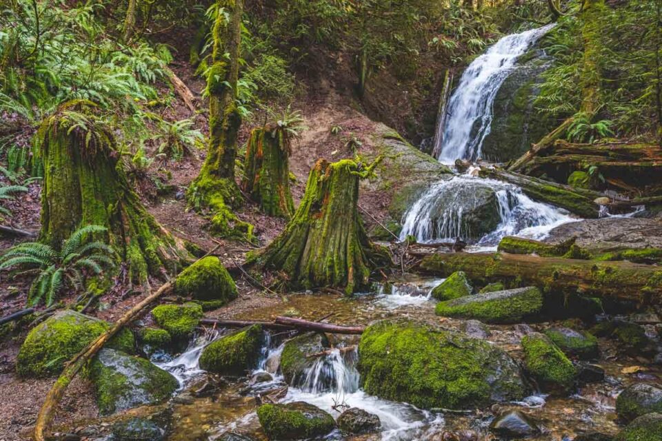 7 Hidden Washington Canyon Hikes Perfect for Late Summer Adventure