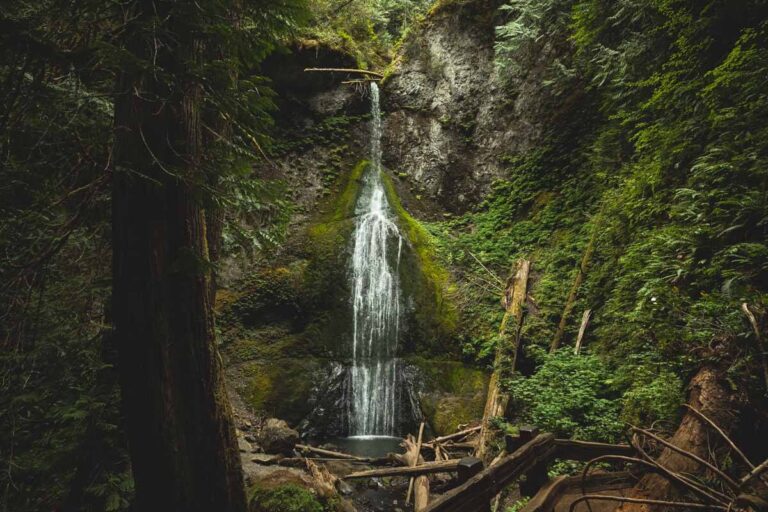 Exploring Lake Crescent in Olympic National Park