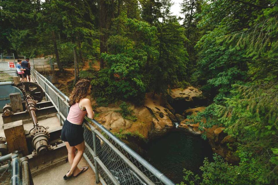 Your Guide to Lacamas Park: Trails, Lakes, and Waterfalls!
