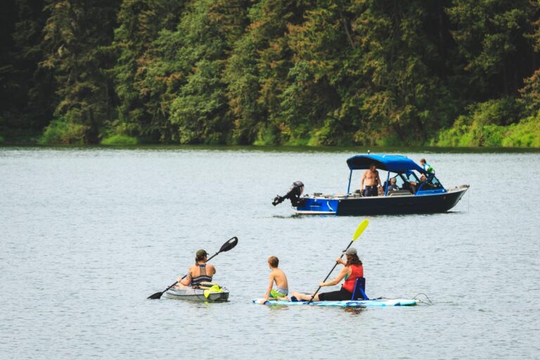 Your Guide to Lacamas Park: Trails, Lakes, and Waterfalls!