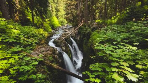 Visiting Yacolt Falls in Washington