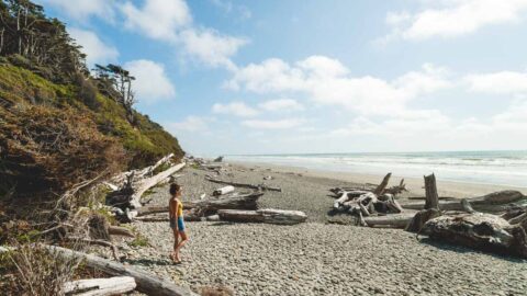 Your Guide to Hurricane Ridge Trails & More in Olympic National Park