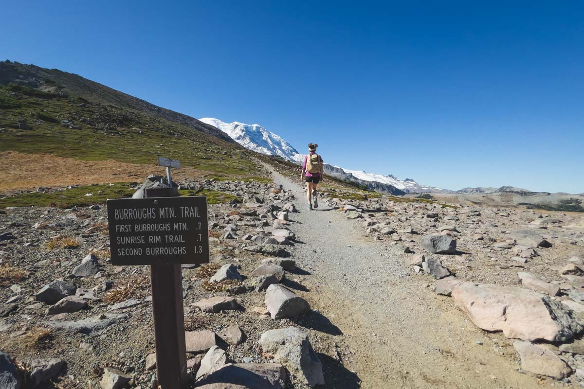 Hiking Burroughs Mountain Trail—A Must Do in Mount Rainier - Washington ...
