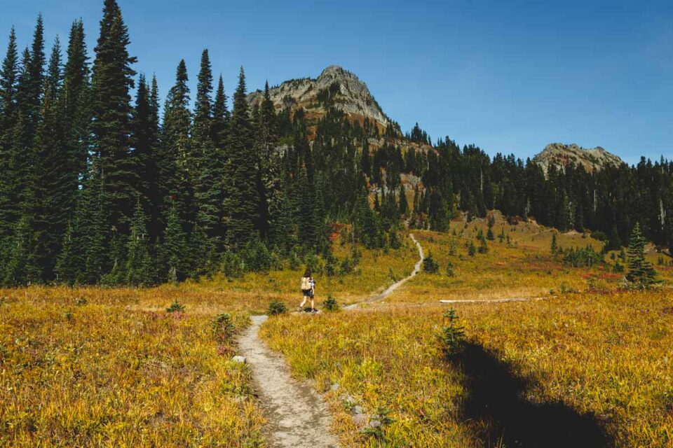 Hiking Naches Peak Loop Trail (Mount Rainier's Best Hike?!)