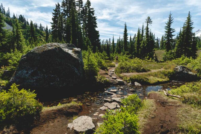 Hiking The Chain Lakes Loop in North Cascades National Park