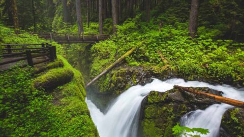 Visiting Yacolt Falls in Washington