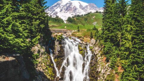 How to Hike the Skyline Loop Trail in Mount Rainier!