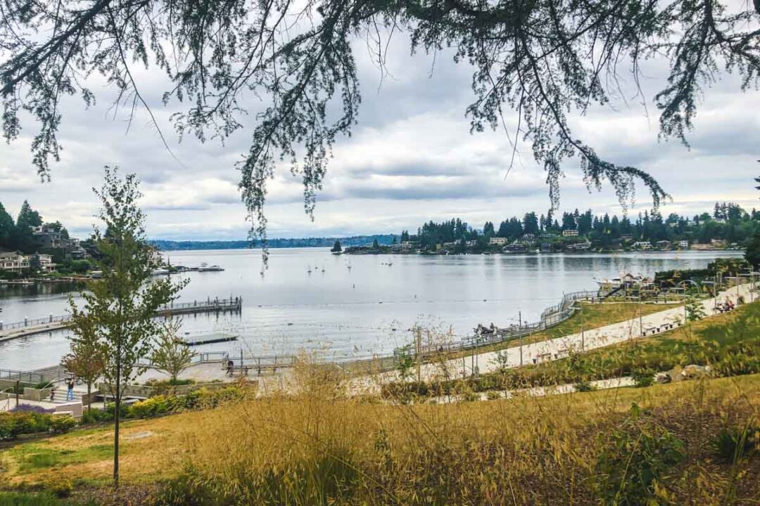 22 COOL Things To Do in Bellevue, Washington