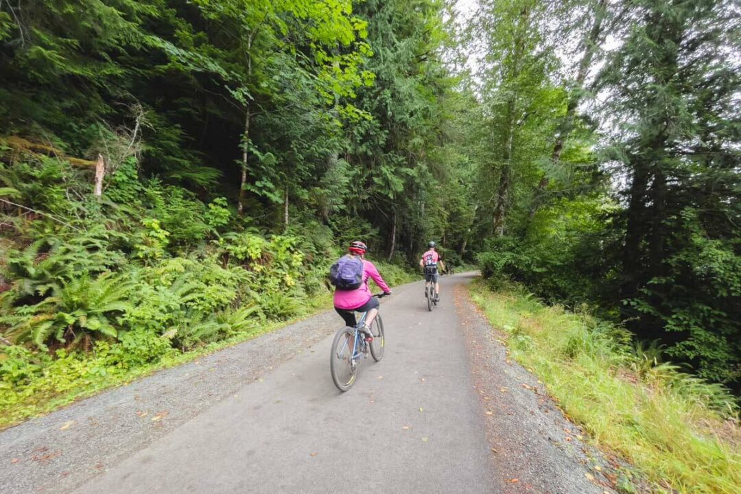 21 BEST Things To Do in Port Angeles for The Adventurous