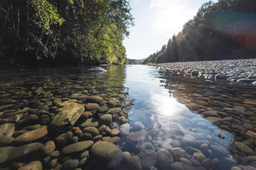Bogachiel State Park—The Best Located Park in Washington?!