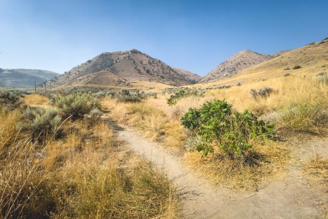11 Adventurous Things To Do in Wenatchee, Washington