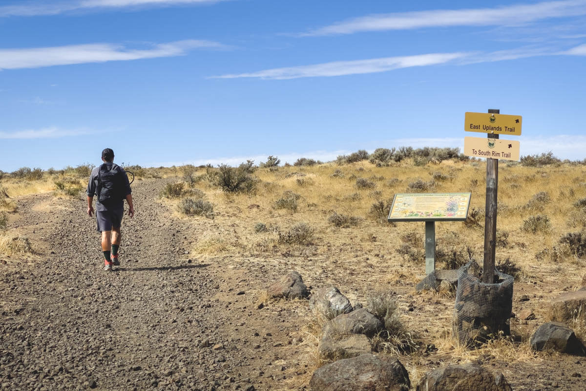 Cowiche Canyon Trails: Best Trail System in Yakima!
