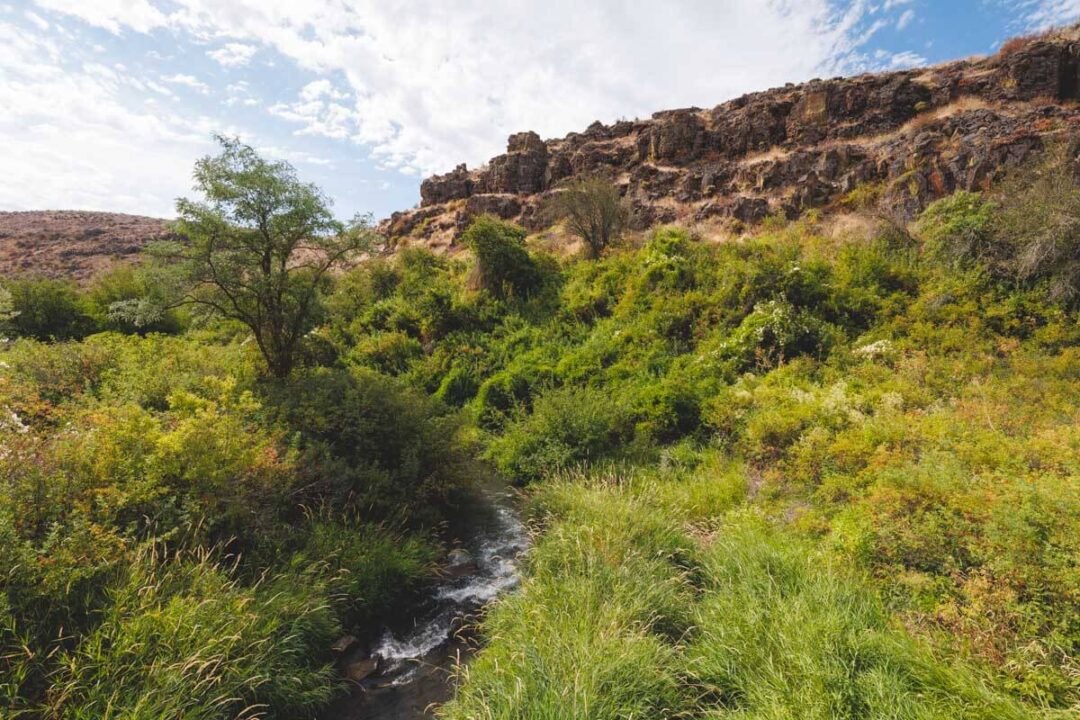 Cowiche Canyon Trails: Best Trail System in Yakima!