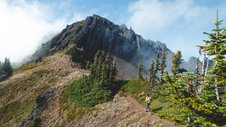 Your Guide to La Push Beaches in Olympic National Park