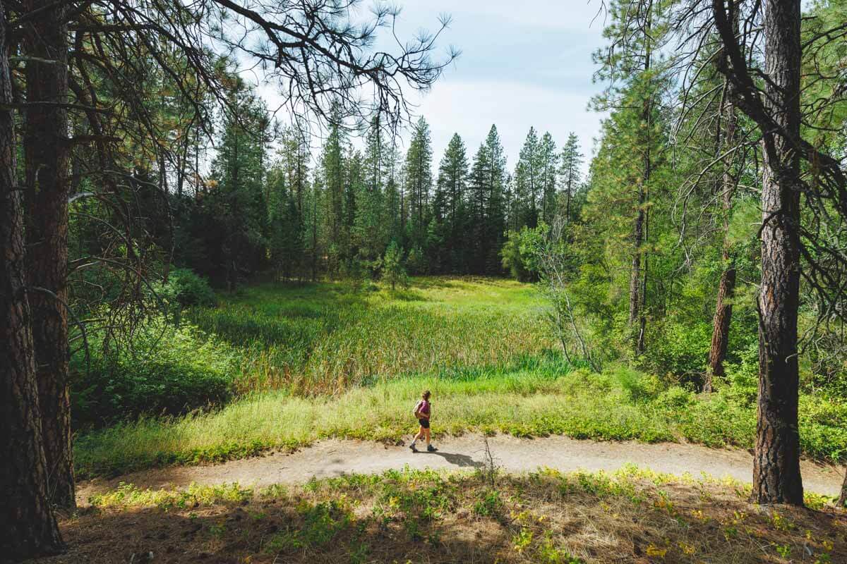 Riverside State Park in Spokane: What You Need to Know!
