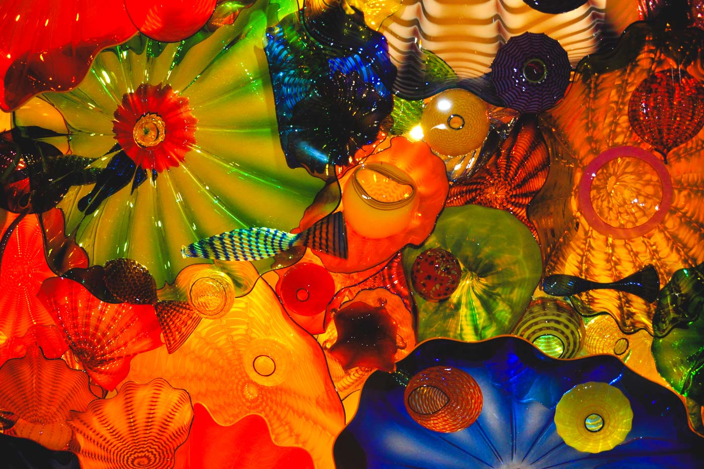 Seattle in Winter: 17 TOP Things to Do!