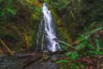 7 Waterfalls in Olympic National Park