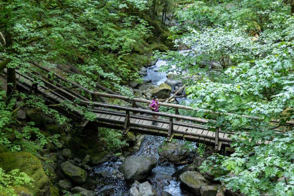 Hike to Hamilton Mountain in Washington