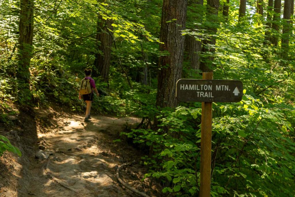Hike to Hamilton Mountain in Washington